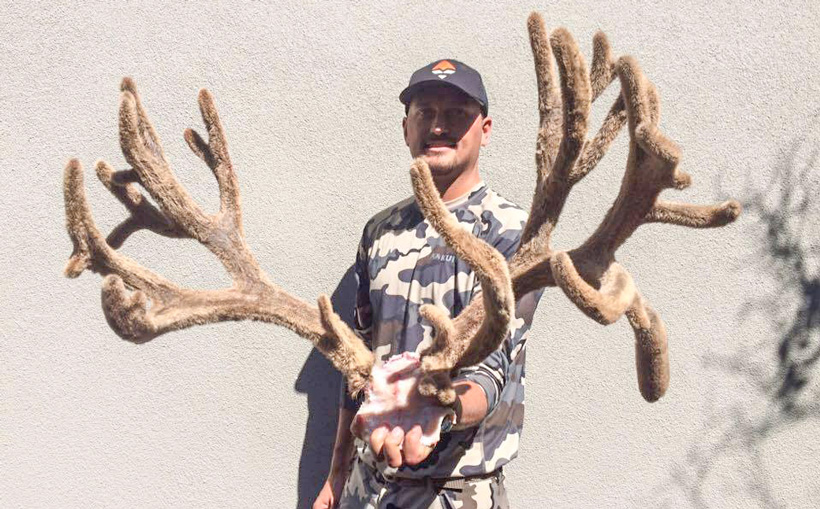 Drawing To Win A 2016 Colorado Governor s Mule Deer Tag GoHUNT