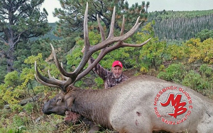 Biggest Bull Elk - Hunting Photos | goHUNT