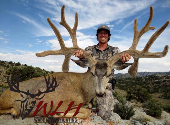 World Record Mule Deer