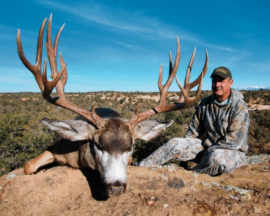 Biggest Mule Deer - Hunting Photos | goHUNT