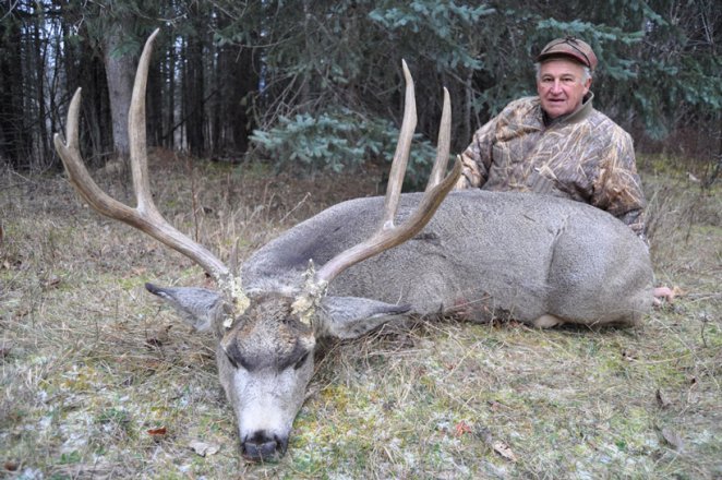 Collection of giant three-point mule deer | goHUNT