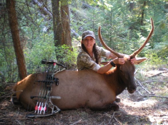 24 of the largest spike elk | goHUNT
