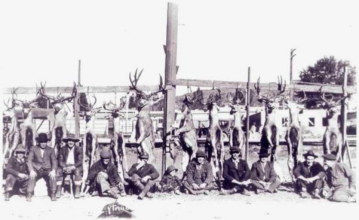 Vintage Hunting Photos - Hunting Pictures | goHUNT