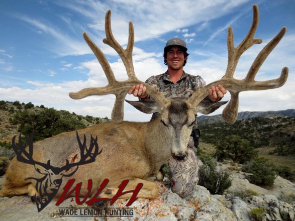 Wade Lemon Hunting Gohunt